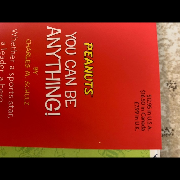 Peanuts | Other | Lot Of Peanuts Ninja Childrens Books | Poshmark